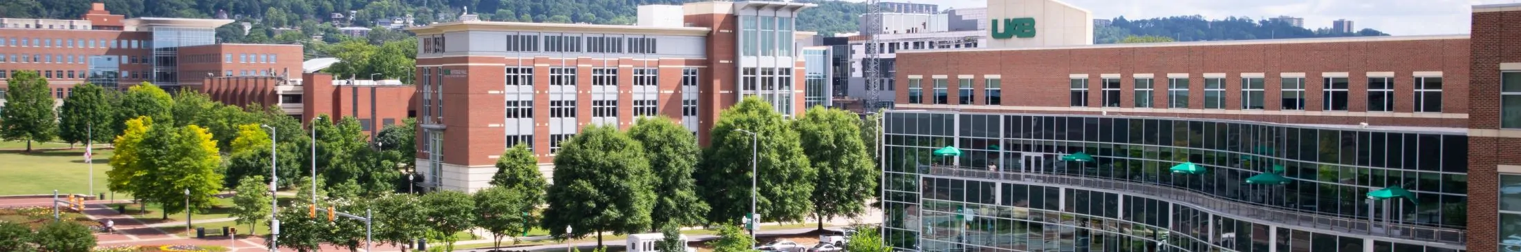 The University of Alabama at Birmingham | MIE Pathways - University ...